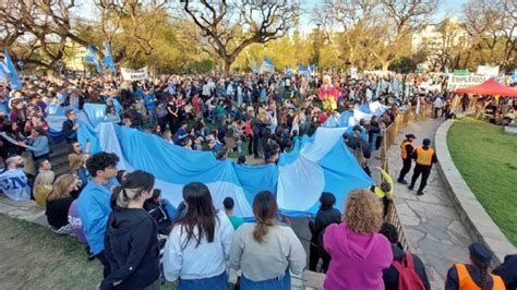 Universidades Públicas Cuánto Perdieron Y De Cuánto Fue La Caída En