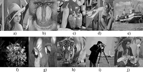 Host Images Used For Watermarking A Lena Bmp B Baboon Bmp C