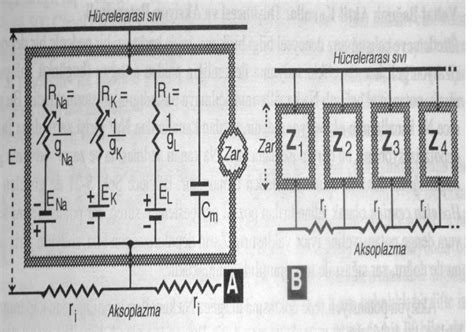 GitHub Rabia Koc TKINTER IZHIKEVICH NEURON MODEL WITH PYTHON