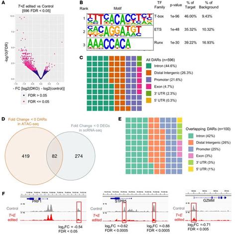 Jci T Bet And Eomes Sustain Mature Human Nk Cell Identity And