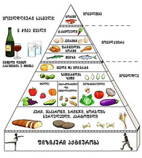სწორი კვება