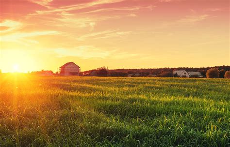 Should I Buy Land National Land Realty News