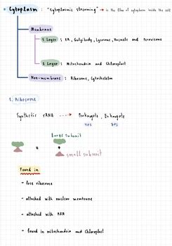 Biology Cell Structure By Daisy Lab TPT