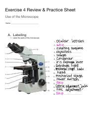 Lab Pdf Exercise Review Practice Sheet Organization Of The Skeletal System Name Date