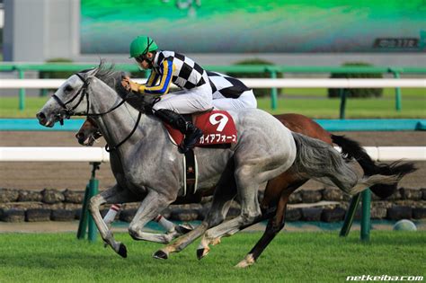 春の名物 G2！ Ajcc の馬券戦略 And 狙い馬 競馬穴馬研究所