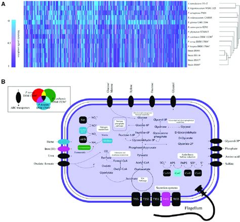 a hierarchical cluster analysis of metabolic profile completeness