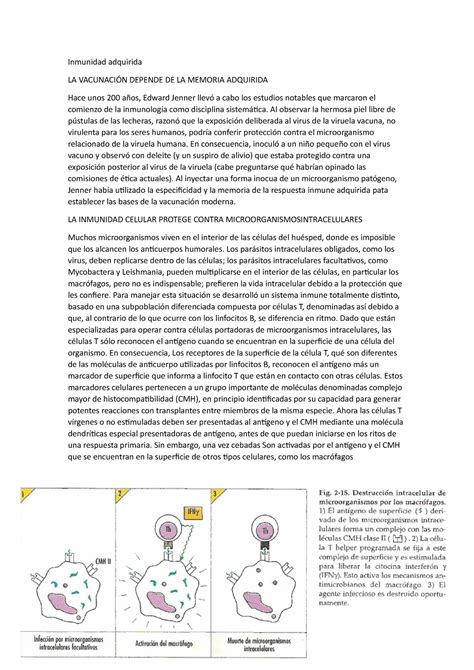 Inmunidad adquirida Inmunulogia Inmunidad adquirida LA VACUNACIÓN