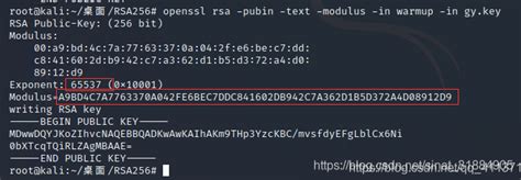 Rsa加密破解教程 Csdn博客