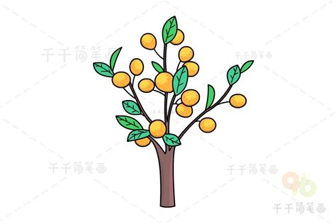 桔子苗简笔画 桔子简笔画 第2页 大山谷图库