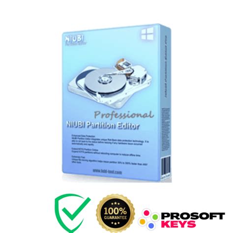 Niubi Partition Editor Professional Edition 980 Key Prosoftkeys
