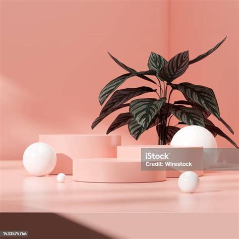 화분이있는 식물과 흰색 공이있는 분홍색 방에서 장식용 기하학적 돌 연단의 3d 렌더링 0명에 대한 스톡 사진 및 기타 이미지 0명 3차원 형태 강단 Istock