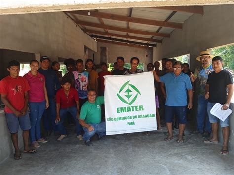 São Domingos Emater capacita agricultores no manuseio da mandioca ZÉ