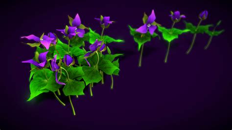 Flower Trillium Erectum 3d Model By Cuongvc