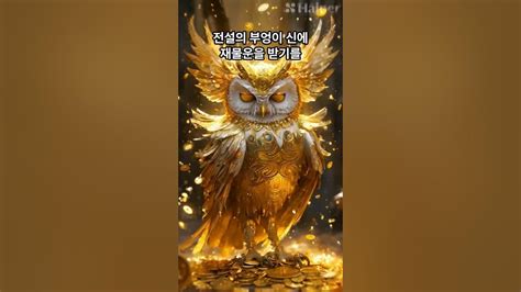 황금 부엉이 신의 횡재운과 축복을 모두 받아가세요 행운 횡재운 가정운 금전운 건강운 소원성취 운수대통 만사형통