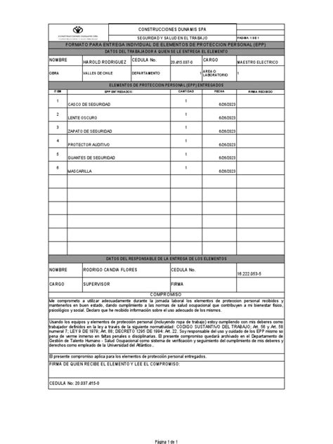 For Th 014 Formato Para Entrega Individual De Elementos De Proteccion