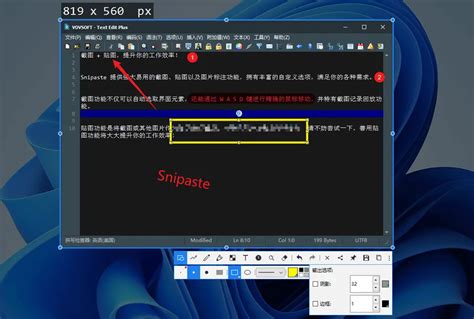 Snipaste 软件 官方授权正版软件平台