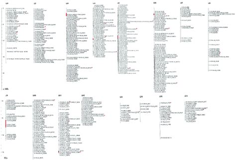 Genomic Location Of The 547 Qtls Identified For Seed Yield Related