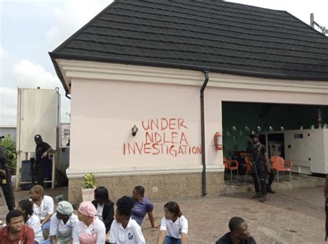 Breaking Ndlea Captures Another Wanted Drug Kingpin In Abia Seals