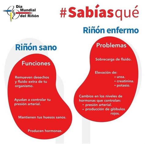 领英mgtr Dr Herbert Ferrer ¿cuáles Son Las 8 Reglas De Oro Para Cuidar