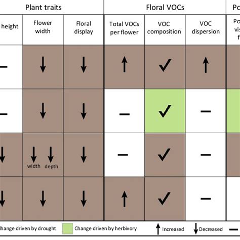 Pdf Drought And Leaf Herbivory Influence Floral Volatiles And