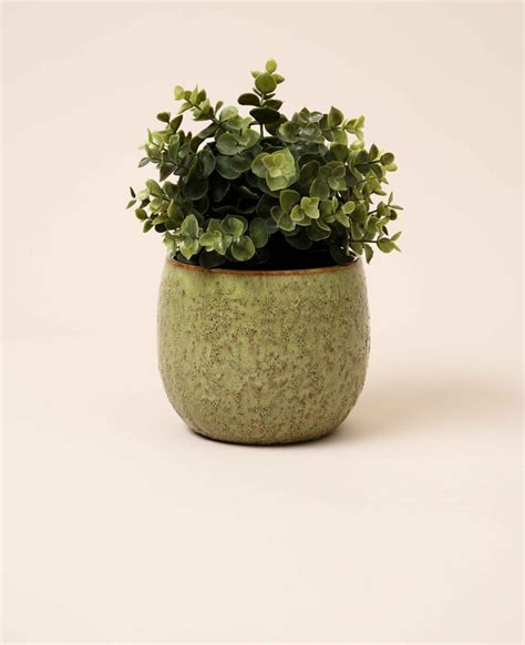 Koopman ყვავილის ქოთანი 16 X 13 სმ Veli Store