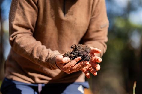 Premium Photo University Babe Conducting Research On Forest Health Farmer Collecting Soil