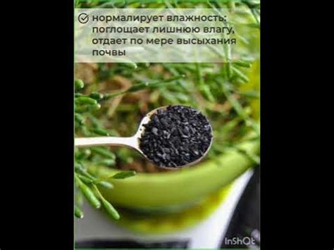 Активированный уголь для комнатных растений БЕРЕЗНЯК - защита от ...