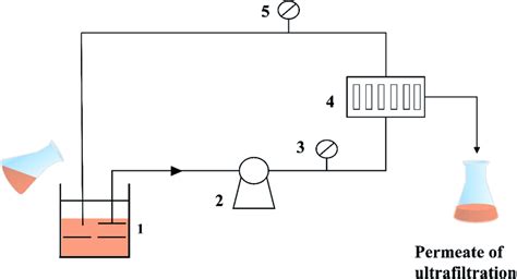 Schematic Diagram Of The Ultrafiltration Membrane Separation Process Download Scientific