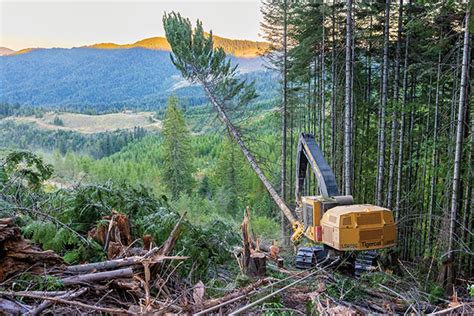 Logging Safe Productive Sustainable Wood Business