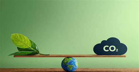 Sri Lankas Carbon Offset Initiatives Pioneering Sustainability And Carbon Credits Climate