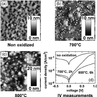 XTEM Micrographs Of Thermally Oxidized GaN 700 C 2 H