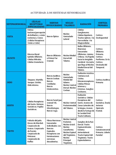 Tabla Los Sistemas Sensoriales Pdf Gusto Percepción Visual
