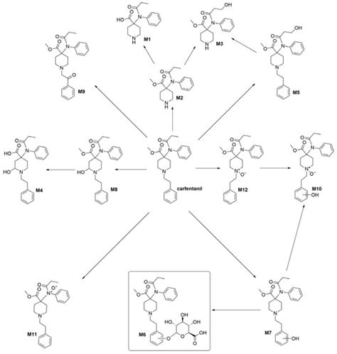 Molecules Free Full Text The Synthesis Of Biphasic Metabolites Of Carfentanil