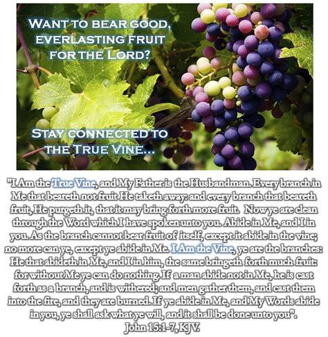 Pin By Smithy John On Bible Verses From The Kjv Bible True Vine Kjv