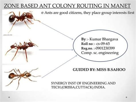 Ant Colony Optimisation For Dynamic Routing In Telecommunication