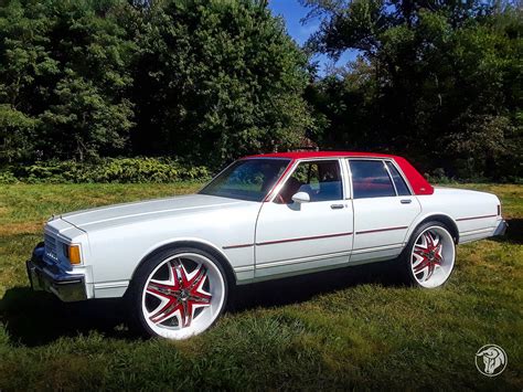 White Box Caprice