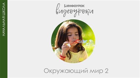 Красная книга Окружающий мир 2 класс 47 Инфоурок Youtube