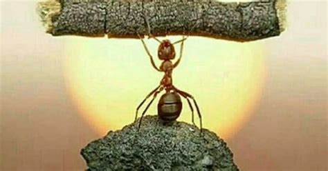 홈엔클린입니다 고수의 이사입주 청소업체 서비스 부산광역시 서구 숨고 숨은고수