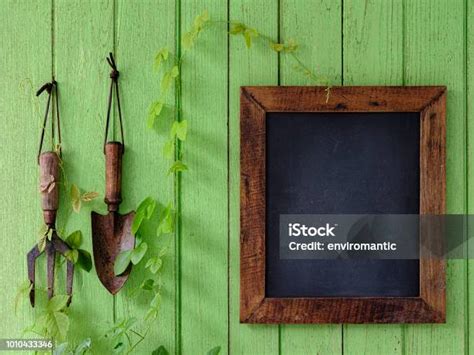 오래 된 빈티지 녹슨 정원 흙 손과 포크 옛날에는 오래 된 나무 프레임된 칠판 옆 녹슨 손톱에서 매달려 녹색 나무 정원 울타리 울타리 자란 식물을 등반와 풍 화 원예에 대한