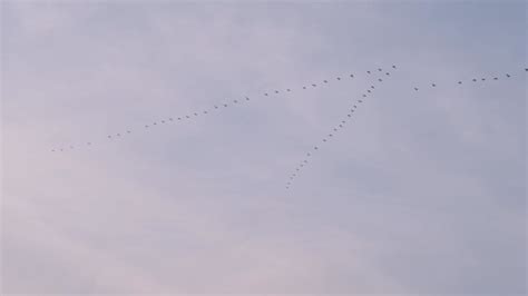 Video Debbie Przybocki On Linkedin Check Out This Awesome Video From Lennox National Account