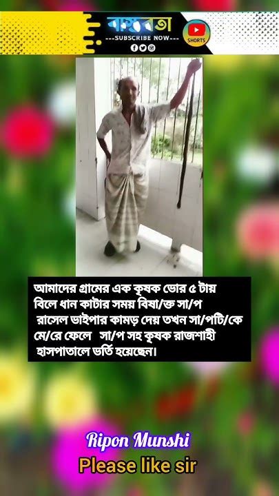 রাসেল ভাইপারের কা ম ড় Status Youtubeshorts Motivation Vira