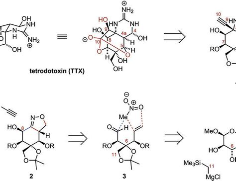 A Concise Synthesis Of Tetrodotoxin Amazing Workz Studios