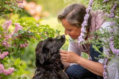 Hochsensibilität durch Tiere als Stärke begreifen Ich durch Dich