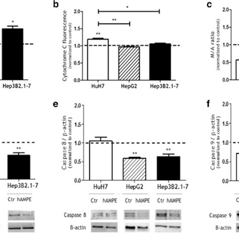 A Baxbcl2 Ratio B Cytochrome C Expression C Monomers—maggregates—a