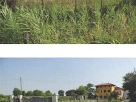 Ente urbano MORSANO AL TAGLIAMENTO 30 000 80 000 euro 5 o più