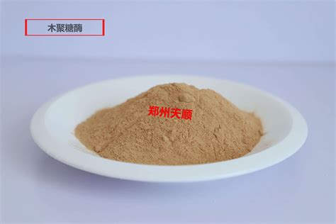Xylanase