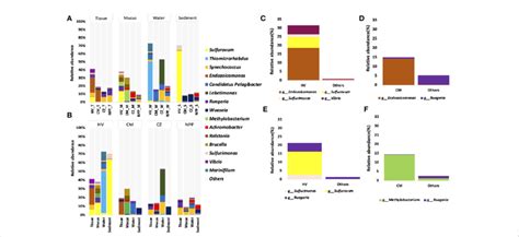 The Relative Abundance Of Dominant Bacterial Genera With T Aurea
