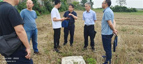 大队总工办对襄阳市东津新区多要素城市地质调查项目进行队级野外验收质量检查 湖北省地质局第八地质大队