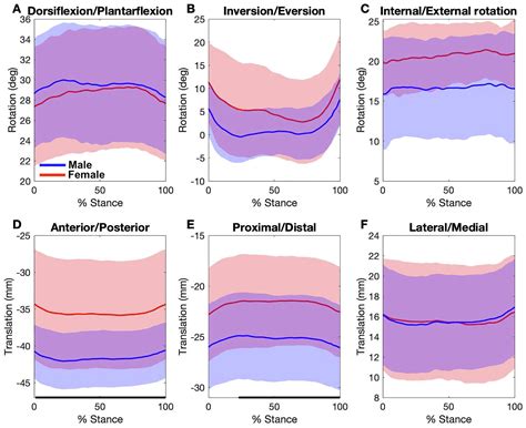 Healthy Ankle And Hindfoot Kinematics During Gait Sex Differences