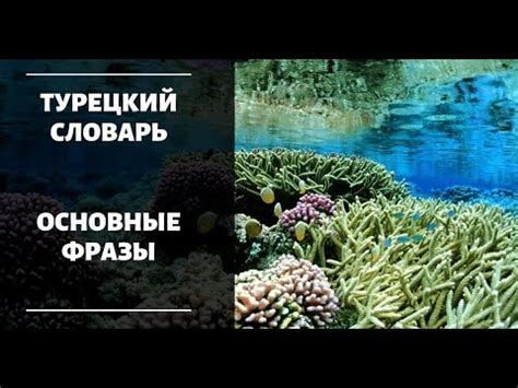 ОСНОВНЫЕ ФРАЗЫ. ТУРЕЦКИЙ СЛОВАРЬ. ТУРЕЦКО - РУССКИЙ СЛОВАРЬ. ТУРЕЦКИЙ ...